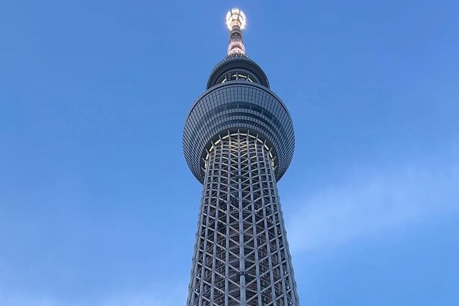 Customizable Private Tokyo Trip With an English Speaking Driver - Pickup and Accessibility