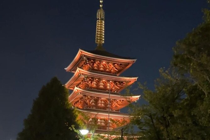 Customizable Private Tokyo Trip With an English Speaking Driver - Exploring Tokyos Highlights