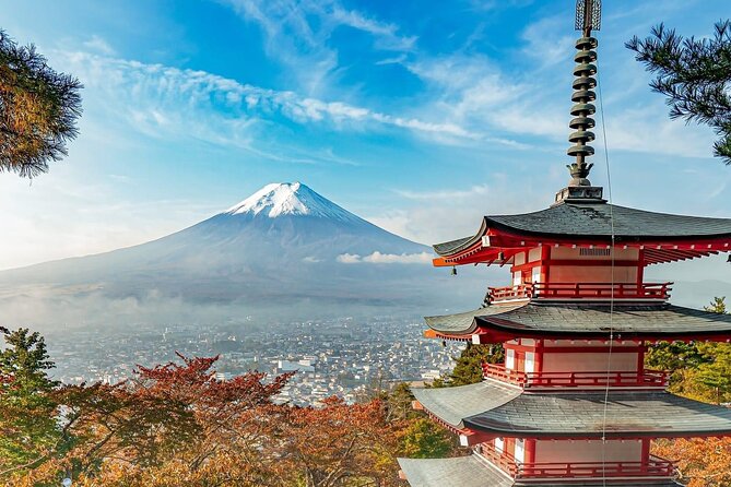 Customizable Private Tour in Mt Fuji From Tokyo by Car or Van - Key Points