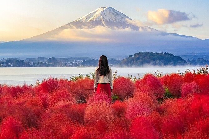 Customizable Private Tour in Mt Fuji From Tokyo by Car or Van - Pickup and Communication