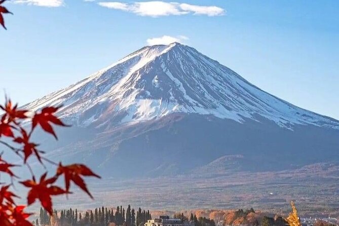 Customizable Private Tour in Mt Fuji From Tokyo by Car or Van - Accessibility and Participation