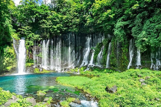 Customizable Private Tour in Mt Fuji From Tokyo by Car or Van - Cancellation and Reviews