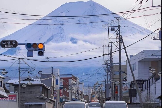Customizable Private Tour in Mt Fuji From Tokyo by Car or Van - Getting to Mount Fuji