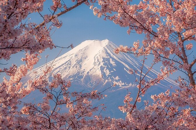 Customizable Private Tour in Mt Fuji From Tokyo by Car or Van - Highlights of the Tour