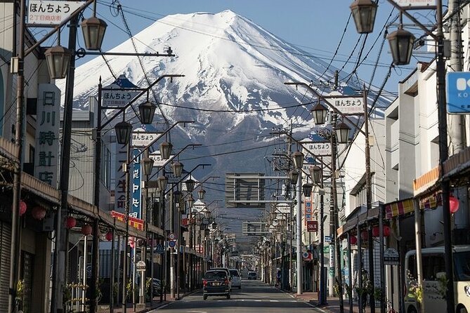 Customizable Private Tour in Mt. Fuji With Private Driver - Ride the Kachi-kachi Ropeway