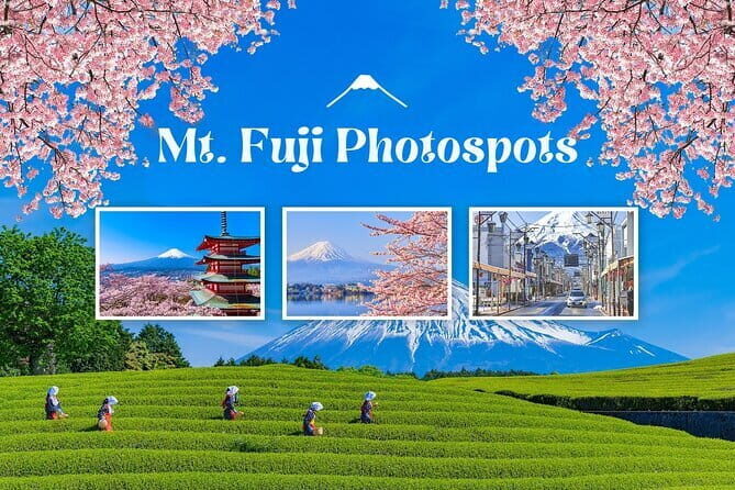 Customizable Tokyo Tour - FAQ