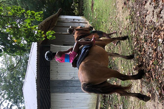Customize Day Tour In Ochi (Horseback Riding,Rafting,Blue Hole, Dunns River ) - The Practicalities: What You Need to Know