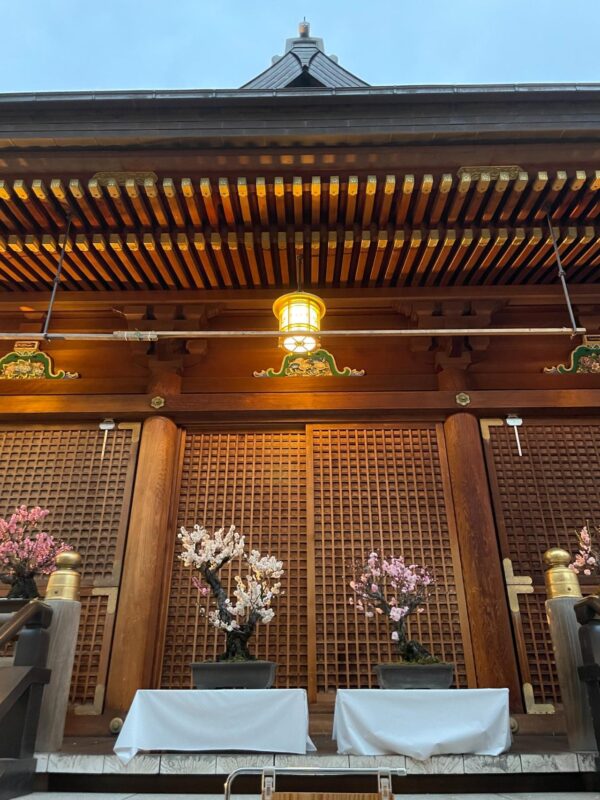 Customize Tokyo Must-Sees & Local Gems With Local Friend - Insider Perspective From Your Guide