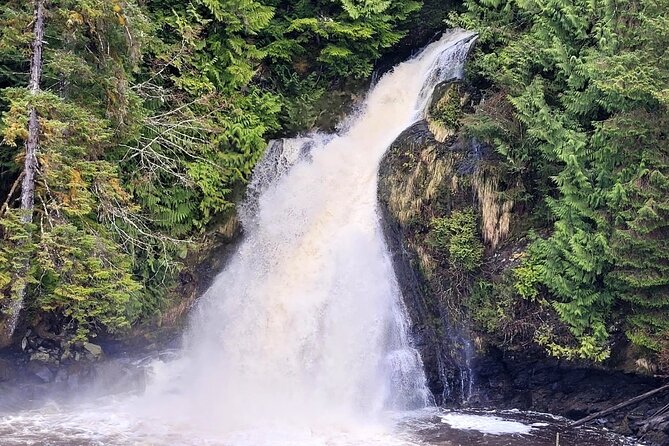 Customize Your Own Private Tour - Enjoy Comfortable Transportation