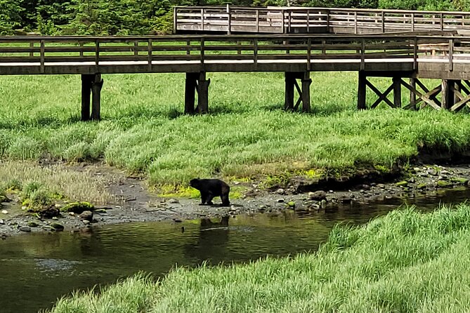 Customize Your Own Private Tour - Book Your Private Tour Today