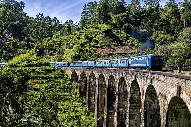 Customized 11-Day Flexible Sri Lanka Tour with Private Car - A Thorough Look at the Itinerary