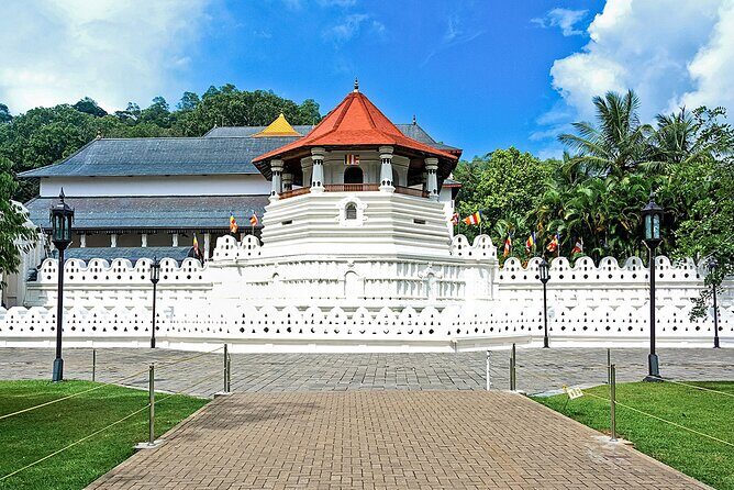 Customized 11-Day Flexible Sri Lanka Tour with Private Car - Who This Tour Is Best For