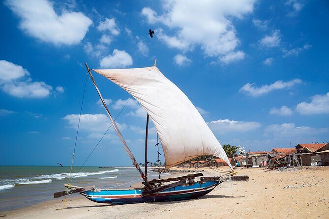 Customized 11-Day Flexible Sri Lanka Tour with Private Car - Final Thoughts