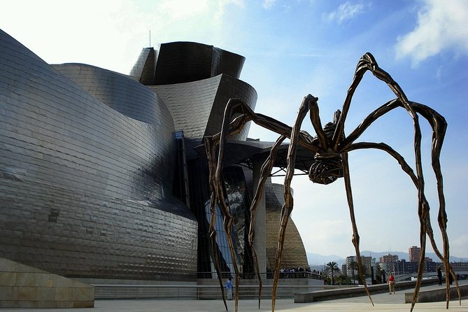 Customized Basque Country & Rioja Private Tour - Accessibility and Participation Details