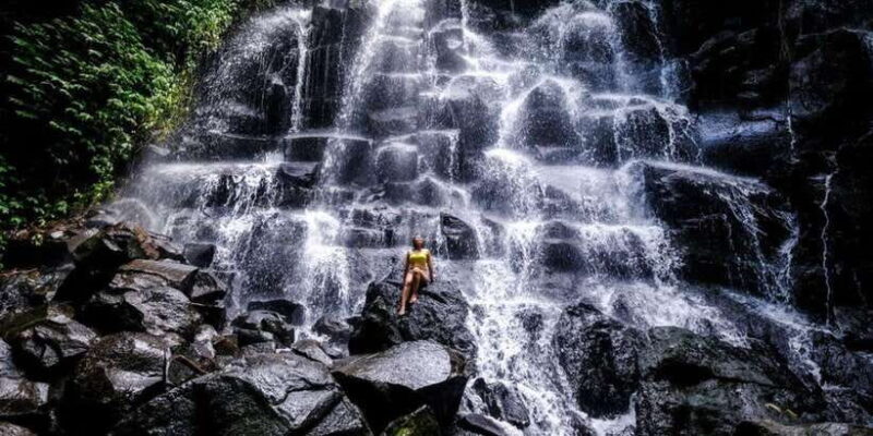 Customized Day Private Car Charter With A Local Guide - Exploring Bali with a Customized Private Car and Guide: An In-Depth Review