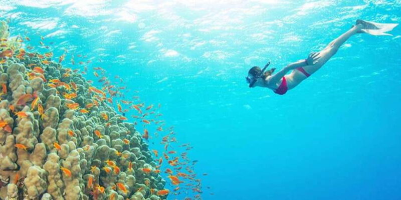 Customized Day Private Car Charter With A Local Guide - What Reviewers Say