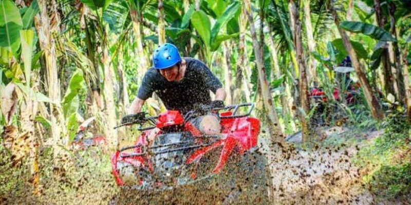 Customized Day Private Car Charter With A Local Guide - The Sum Up: Is This Tour Right for You?