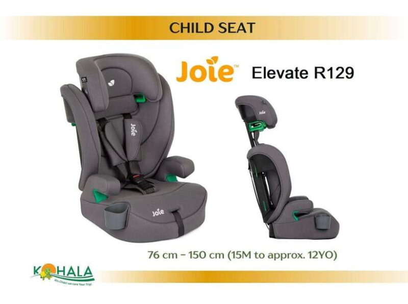 CUSTOMIZED ITINERARY ARRANGEMENT WITH CAR & DRIVER - Experience and Logistics