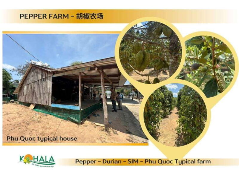 CUSTOMIZED ITINERARY ARRANGEMENT WITH CAR & DRIVER - Authentic Experience & Customer Feedback