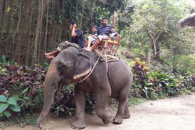 Customized Phuket Tours with Private Driver - The Sum Up