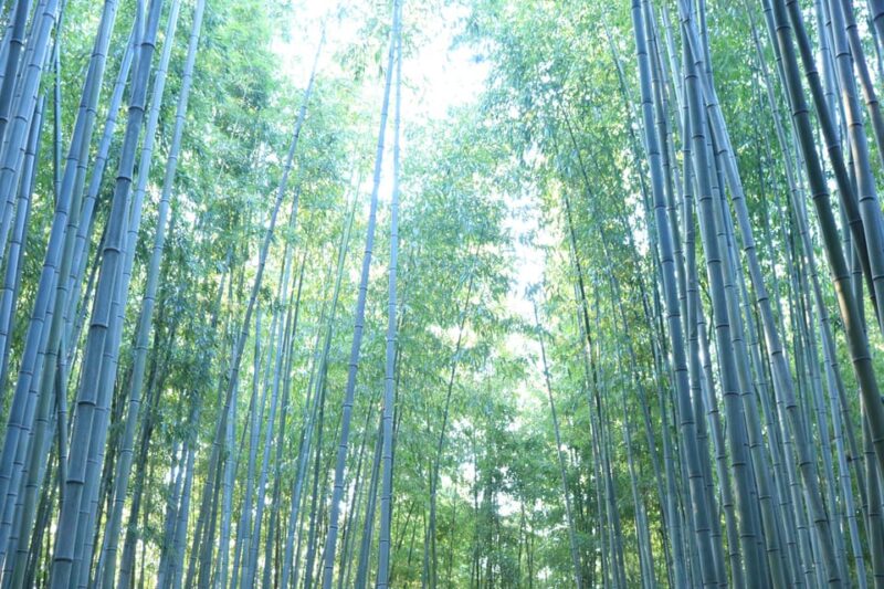 customized private Busan tour with licensed agency and guide - Key Points