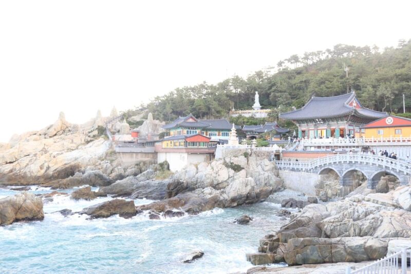 customized private Busan tour with licensed agency and guide - What’s Included and What’s Not?