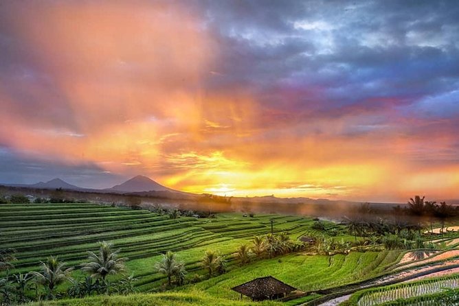 Customized Private Day Trip: Create your own tour itinerary - What’s Included and What’s Not