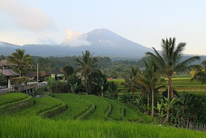 Customized Private Day Trip: Create your own tour itinerary - Who Will Love This Tour?