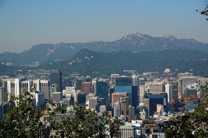 Customized Private Seoul tour: Palace, Market etc(Airport Option) - Myeongdong Shopping Street – The Heart of Seoul’s Retail Scene