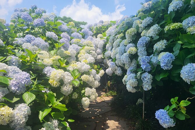 Customized private tour in Jeju island - Authenticity and Overall Experience