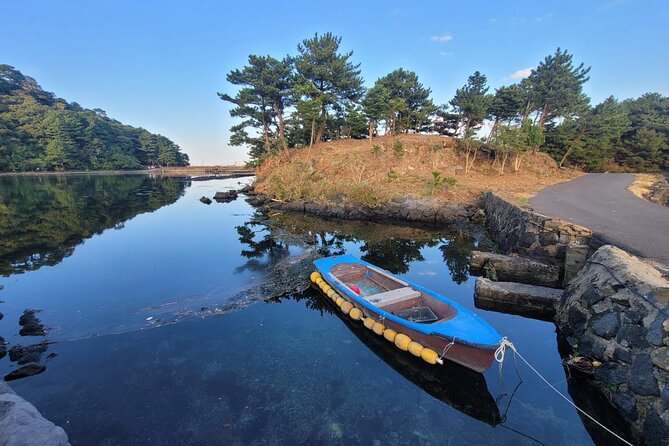 Customized private tour in Jeju island - Who Should Consider This Tour?