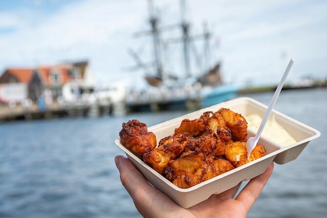 Customized Private Tour in Tesla to Zaandam, Windmills & Volendam - Key Points