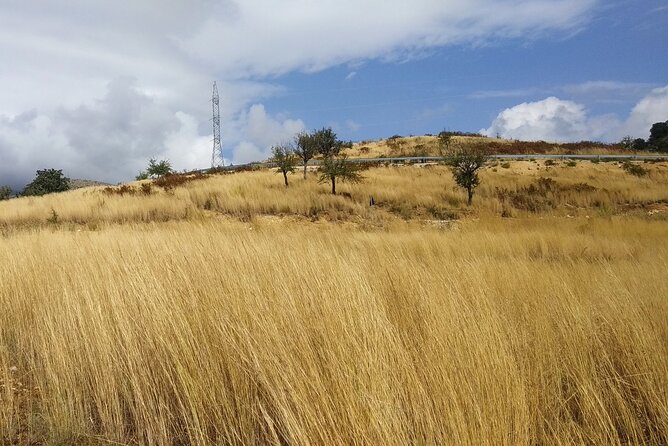 CUSTOMIZED Private Tours in Albania (Book Your Favorite Tour Options!) - Reviews and Testimonials