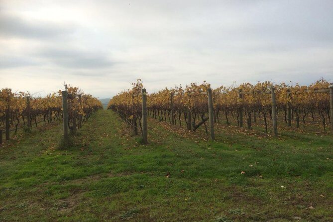 Customized private winery day tour in Mornington Peninsula at your own choices - Key Points