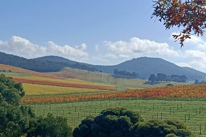 Customized private winery day tour in Yarra Valley at your own choices - Real Traveler Insights