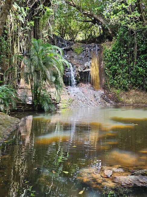 Customized St Lucian Private Island Tour - Final Thoughts: Is This Tour Worth It?