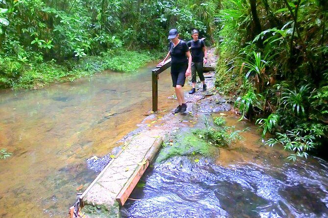 Customized Suva day tour - The Logistics: Comfort and Convenience