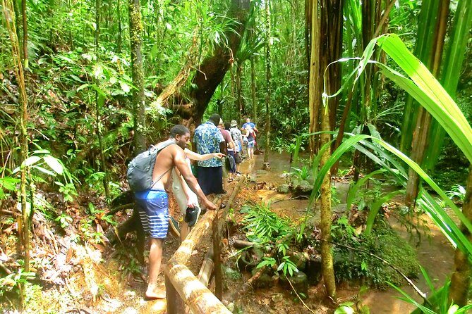 Customized Suva day tour - What to Expect Based on Reviews