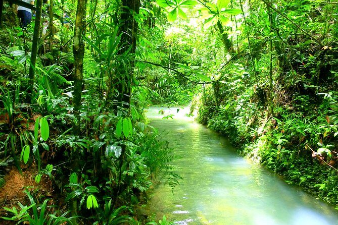 Customized Suva day tour - The Value Equation