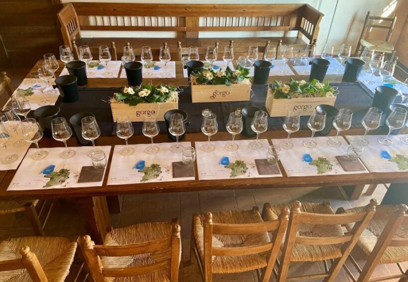 Custoza: Organic Wine Tasting with Vineyard and Cellar Tour - Final Thoughts: Who Will Love This Tour?