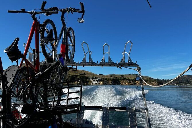 Cycle Ferry, Dunedin Harbour Cycle Trail - In-Depth Look at the Experience