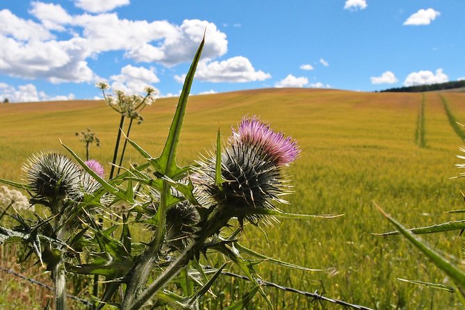 Cycle To Loch Ness - Self Guided - Admiring the Views of Loch Ness