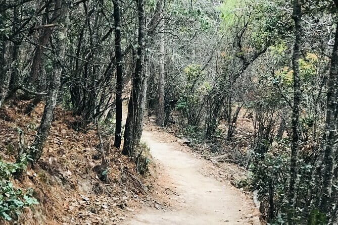 Cycling Across The Thimphu Valley - FAQ