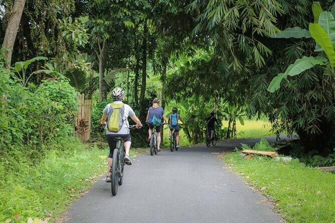 Cycling Adventure in Bali - An Introduction to the Tour