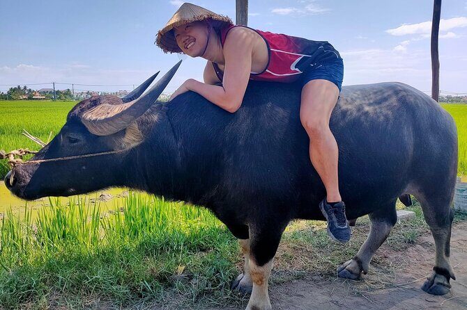 Cycling, Buffalo Ride and Basket Boat Tour in Hoi An - Final Thoughts: A Truly Authentic Rural Adventure in Hoi An