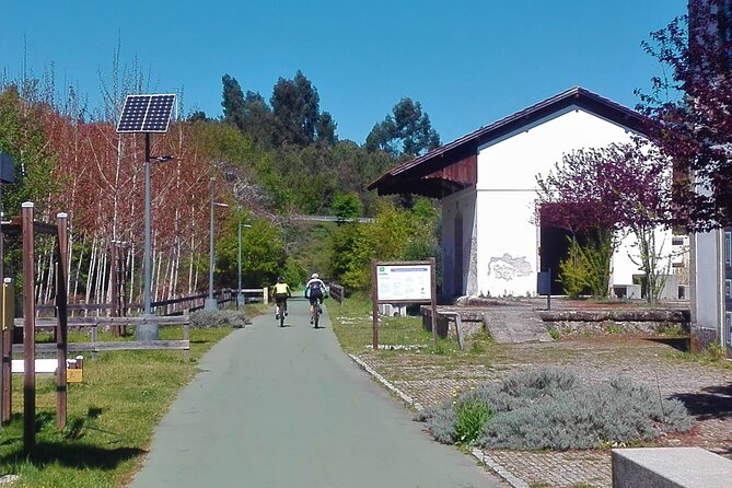 Cycling Ecopista do Dão One Way, full-day from Coimbra - Key Points