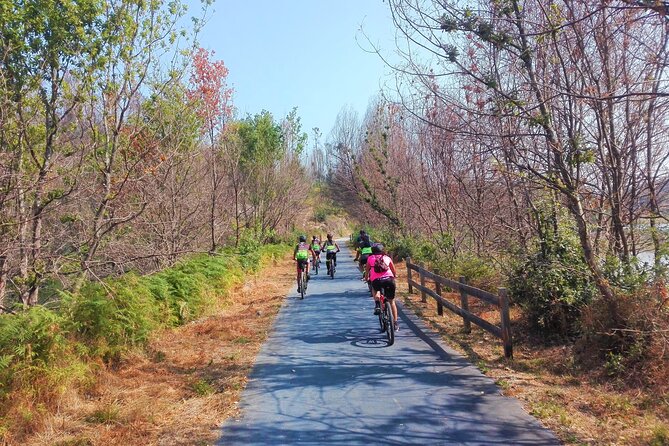 Cycling Ecopista do Dão One Way, full-day from Coimbra - What to Expect and Practical Details