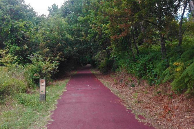 Cycling Ecopista do Dão One Way, full-day from Coimbra - FAQ