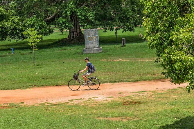Cycling from Mirissa - Exploring the Ride: What You Can Expect