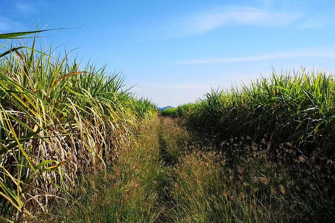 Cycling in rural Kanchanaburi area - Frequently Asked Questions
